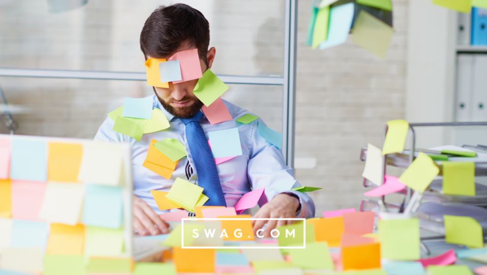 The Best Swag Ideas for Pets & Animal Lovers - Swag.com