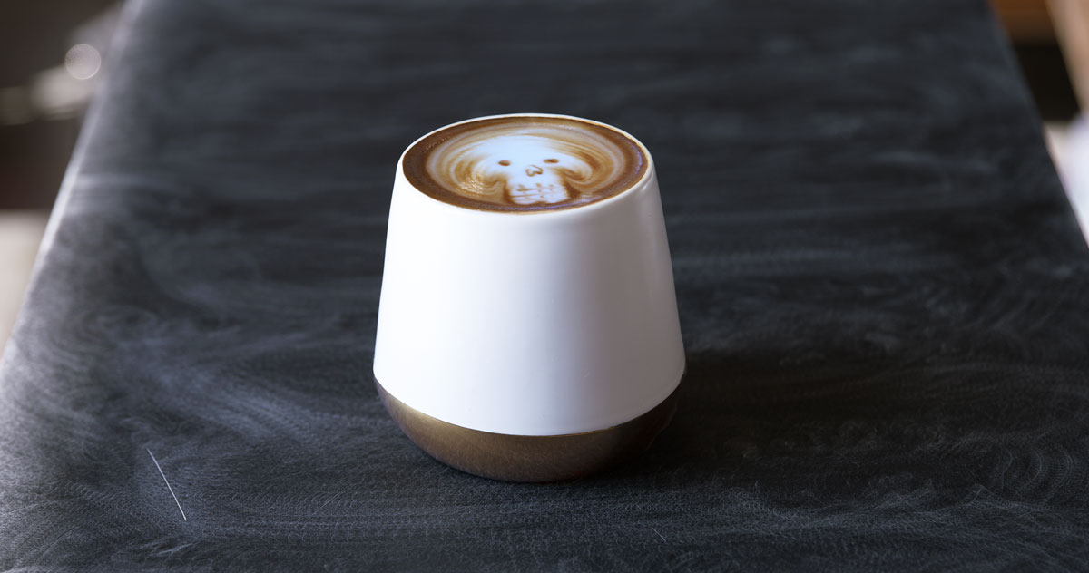 Brand Spotlight: Fellow Coffee Products - Swag.com