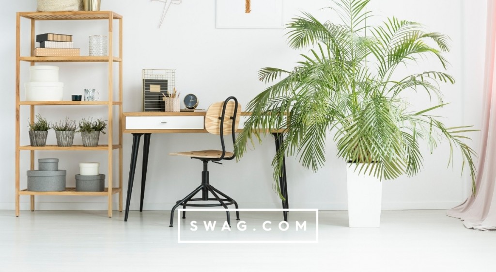 20 “Oddball” Unique Swag Ideas to Make Your Brand Stand Out - Swag.com